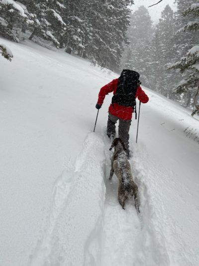 Nitro Vertical Splitboard Bindings Review - Mountain Weekly News