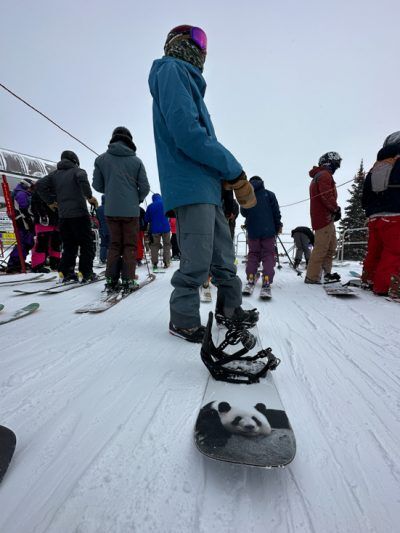 Burton Process Snowboard Review: Unleash Your Inner Beast on the Mountain