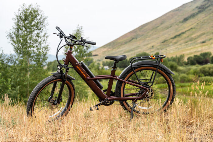 Radster Trail E-Bike Review: Is It as Radical as They Claim? - Mountain ...